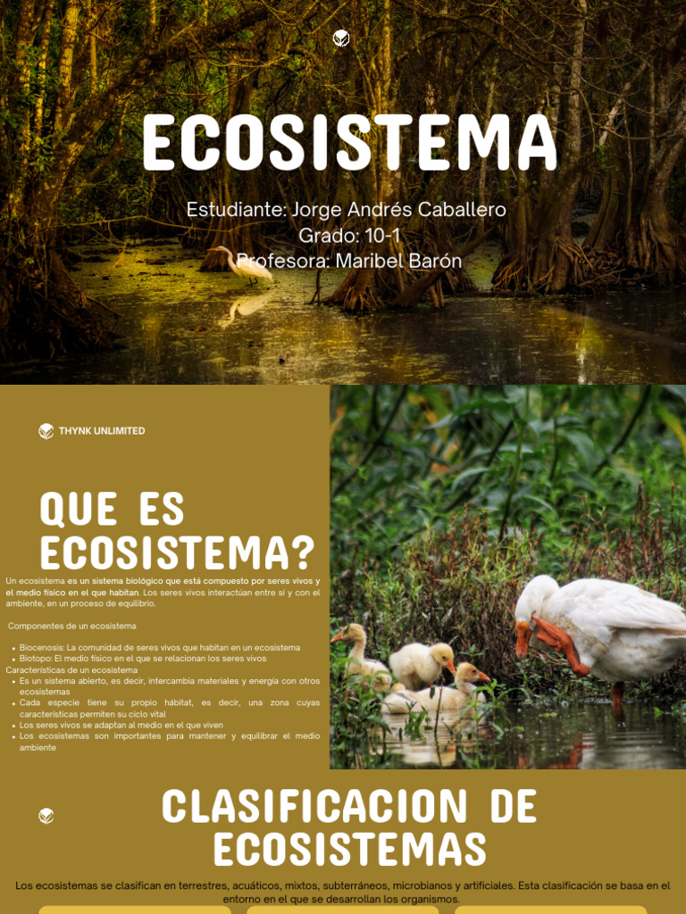 Componentes y Clasificación de Ecosistemas | PDF | Ecosistema ...