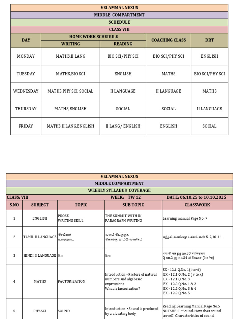 Class VIII Weekly Schedule Overview | PDF