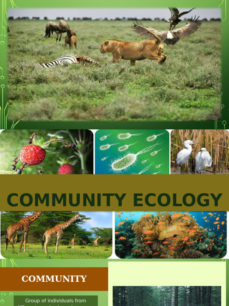Understanding Community Ecology Concepts | PDF | Ecological Niche | Ecology