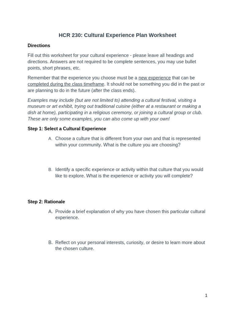 HCR 230 - Cultural Experience Project Part 2 - Create A Plan | PDF
