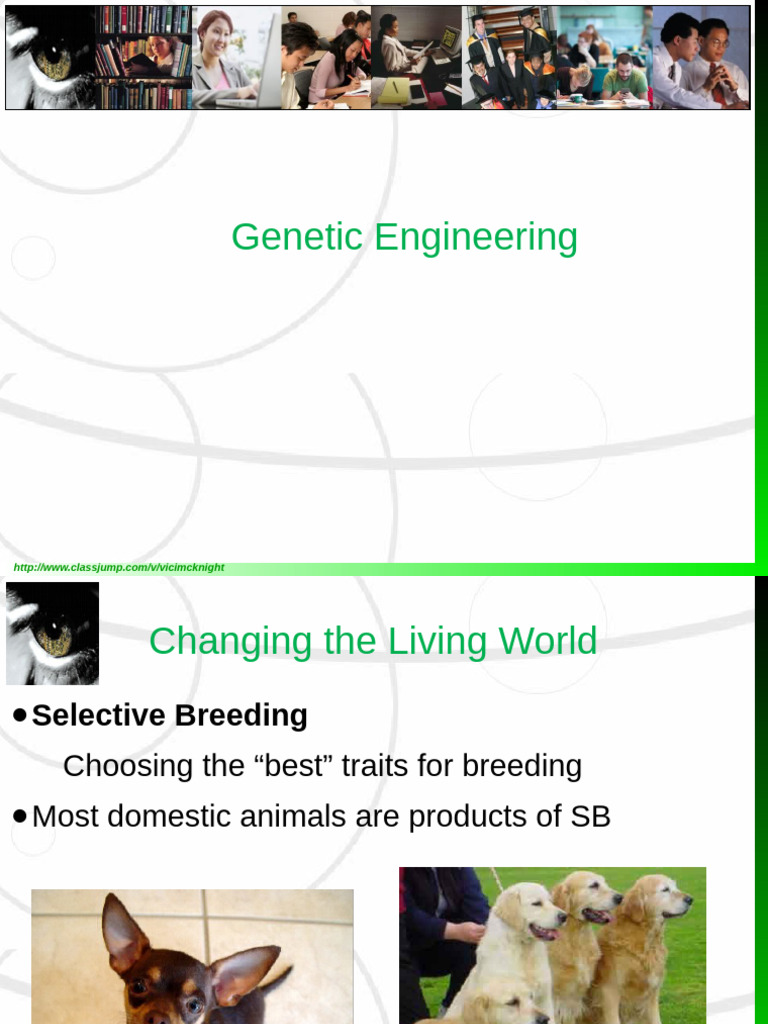 Genetic Engineering | PDF