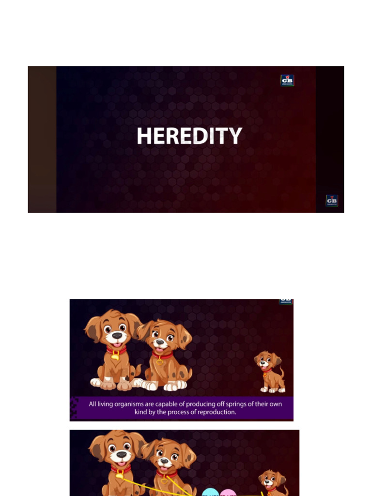 Heredity | PDF | Dominance (Genetics) | Genotype
