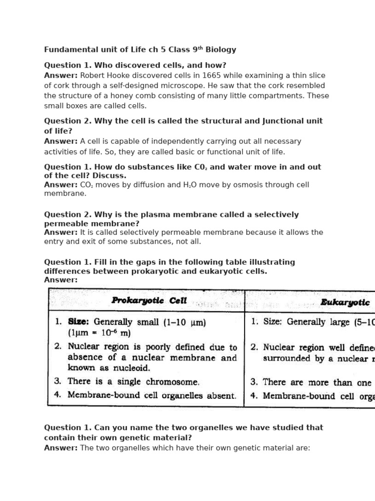 Ch5Bio Fundamental Unit of Life | PDF | Cell (Biology) | Cell Membrane