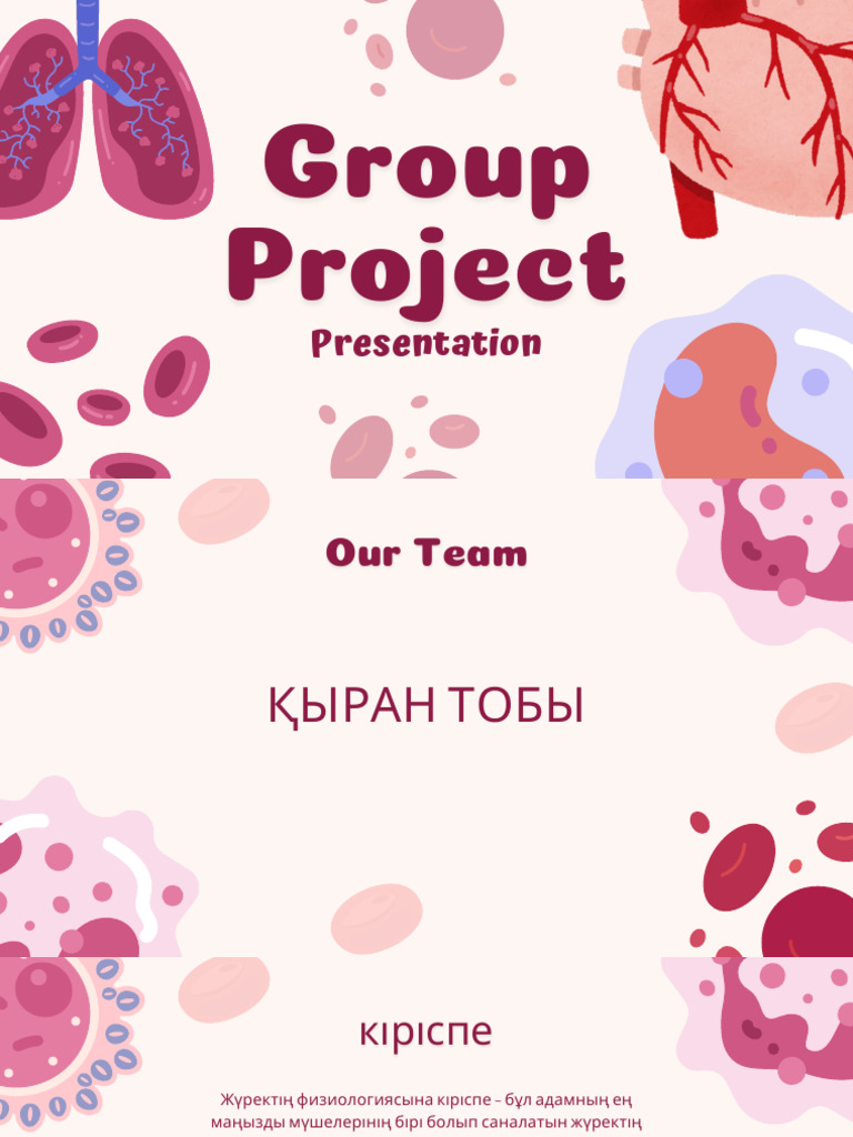 Pink Red Playful Biology Circulatory System Group Project Presentation ...