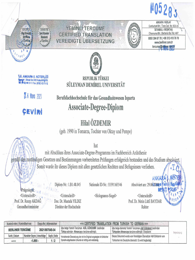Diplom | PDF
