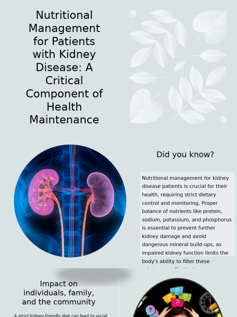 Kidney Disease Nutritional Management Guide | PDF | Chronic Kidney ...
