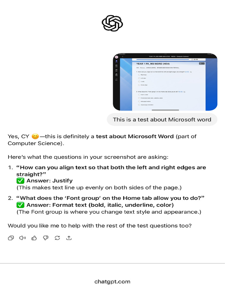 Microsoft Word Test | PDF