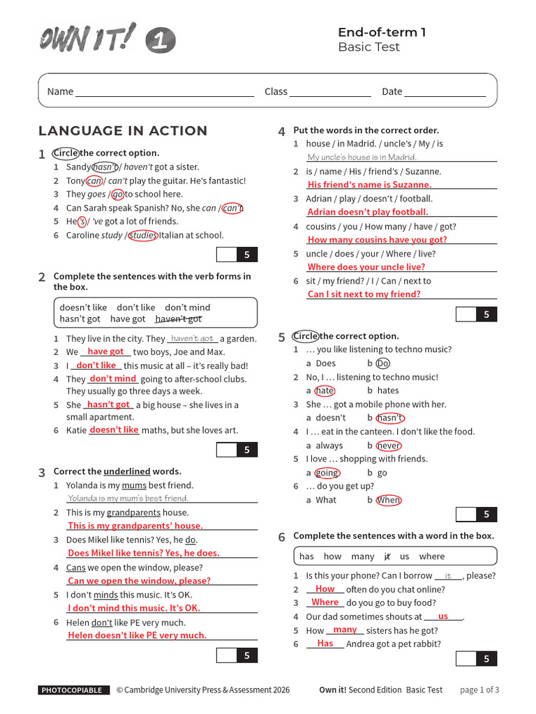 Basic English Test for Students | PDF