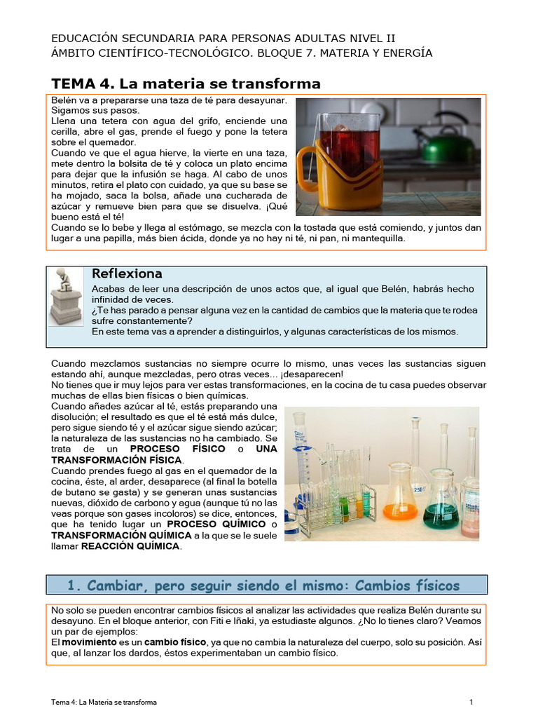 Tema 4. BLOQUE 7 | PDF | Respiración celular | Metabolismo