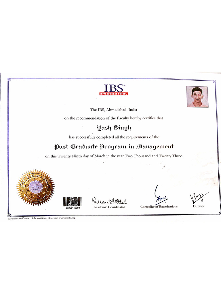 IBS Marksheet | PDF