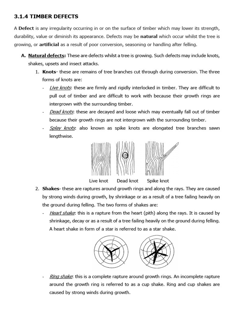 Understanding Timber Defects Explained | PDF | Lumber | Wood