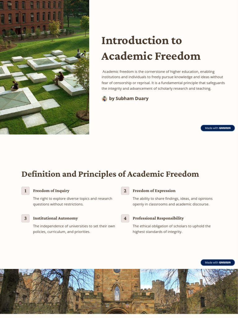 Understanding Academic Freedom Principles Pdf Academic Freedom
