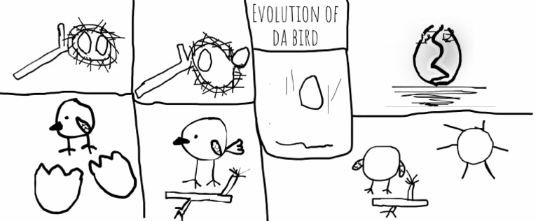 Evolution of Da Bird | PDF