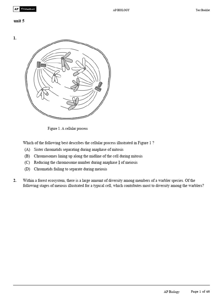 AP Biology Genetics Practice Questions | PDF | Dominance (Genetics ...
