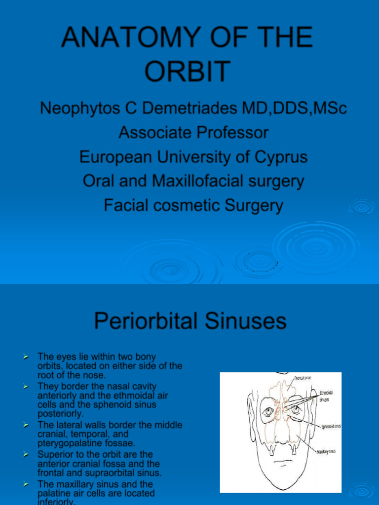 Anatomy of the Orbit (1) | PDF | Human Head And Neck | Human Anatomy