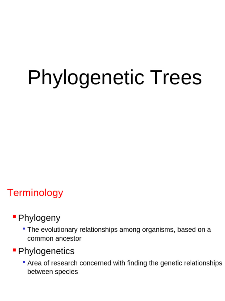 BSDS Phylogenetic Tree | PDF | Phylogenetic Tree | Clade