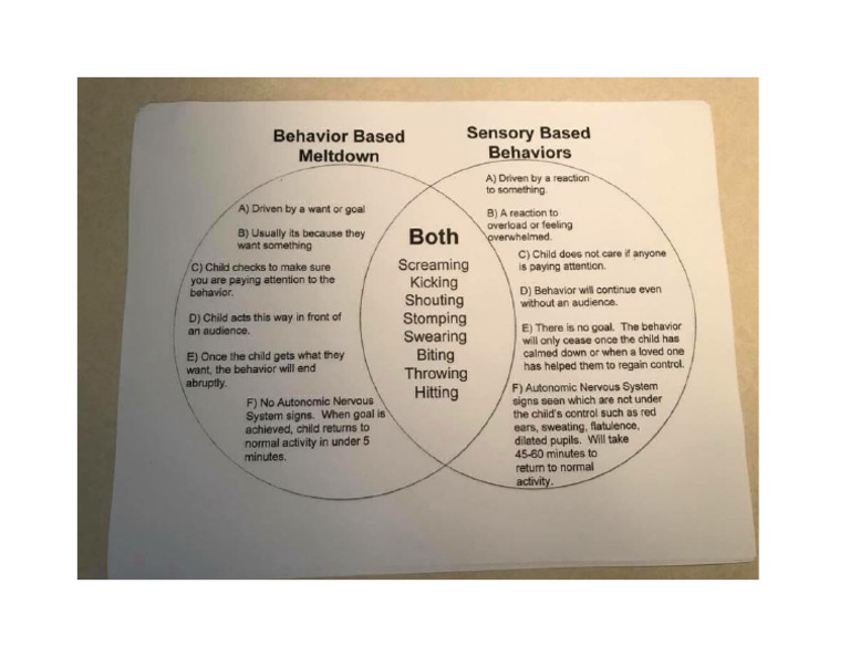 Sensory vs. Behavior Copy 2 | PDF