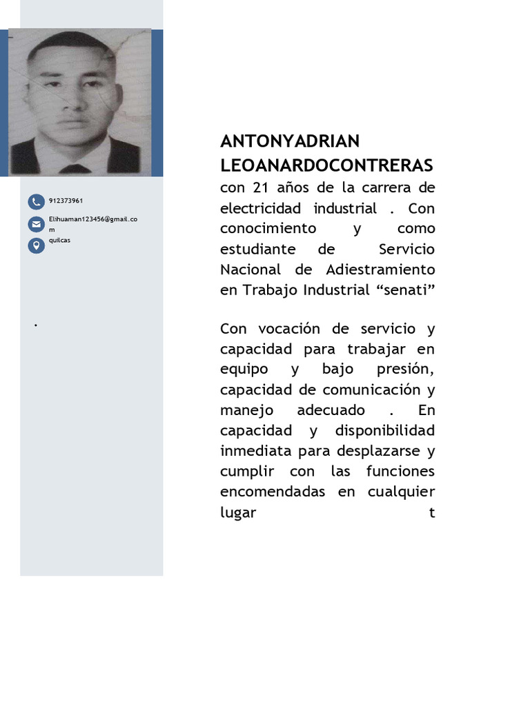 CV Antony Adrian Leoanardo Contreras | PDF