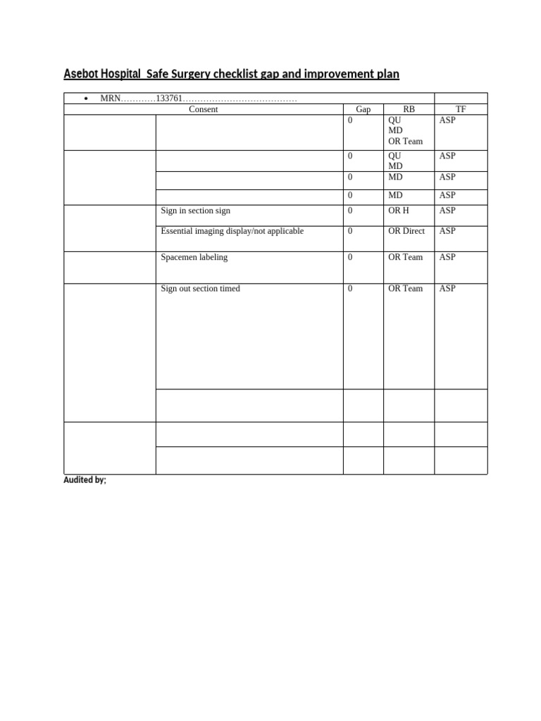 Audit Template For Daily Chart Completenness | PDF