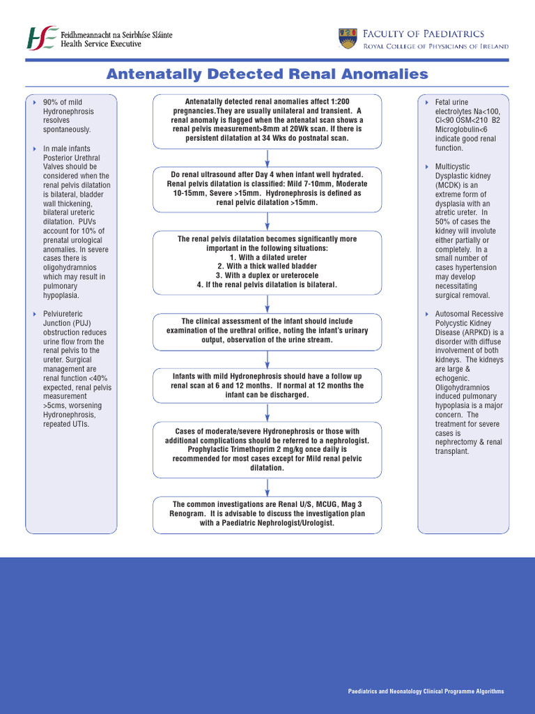Renal Anomalies | PDF | Kidney | Clinical Medicine