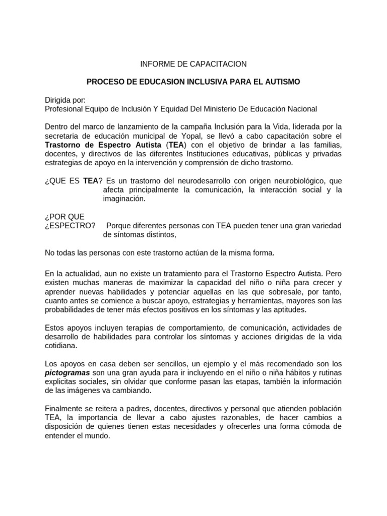 Informe Capacitacion TEA | PDF