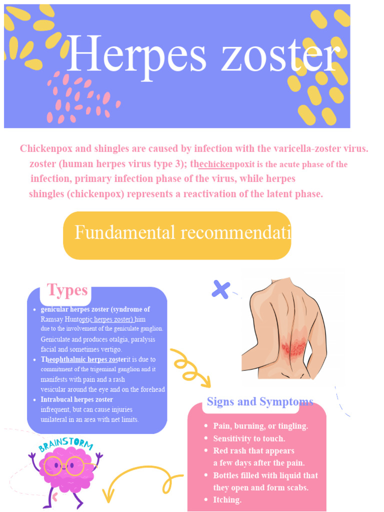 Infographic On Shingles | PDF