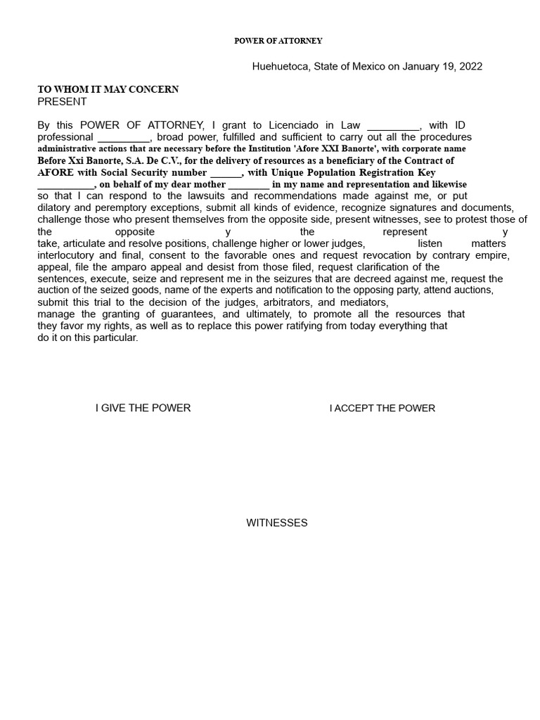Power of Attorney Document Template | PDF