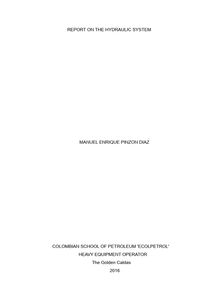 Hydraulic System Report for Excavators | PDF | Liquids | Pressure