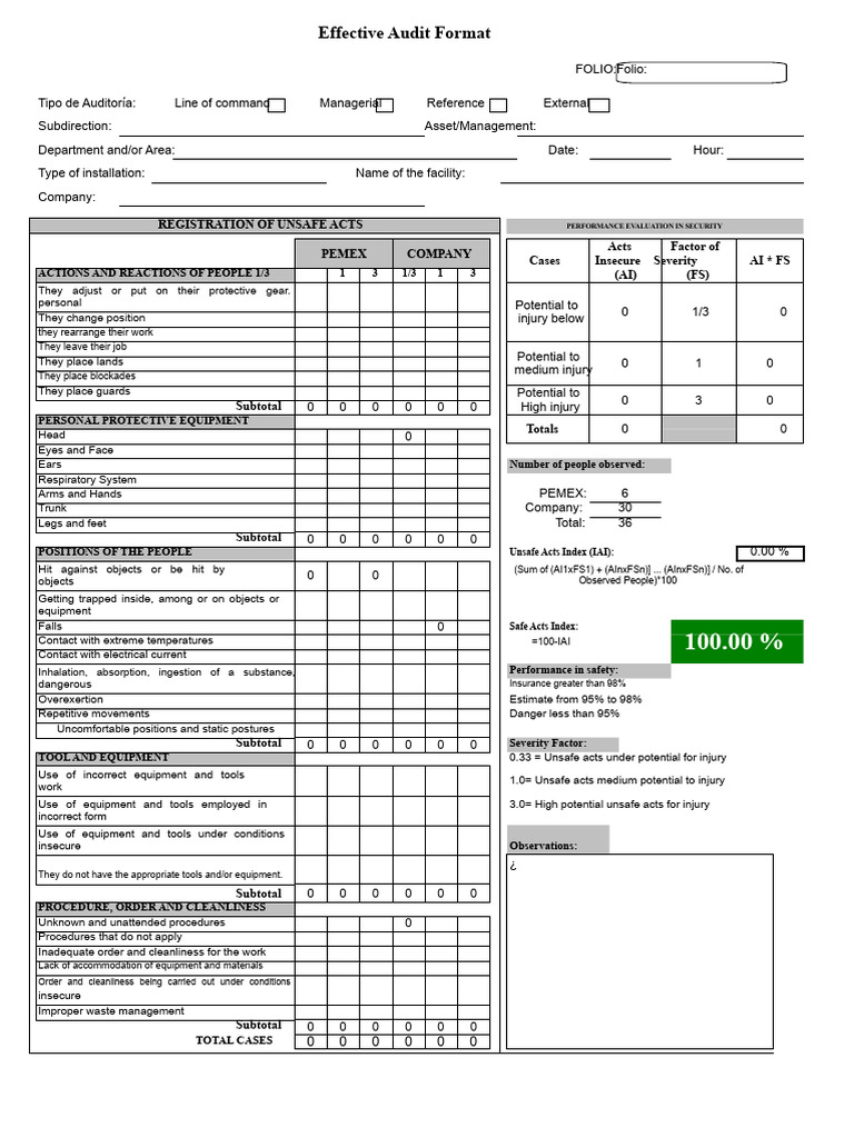 Effective Audit Format Pemex Official With Formulas | PDF ...