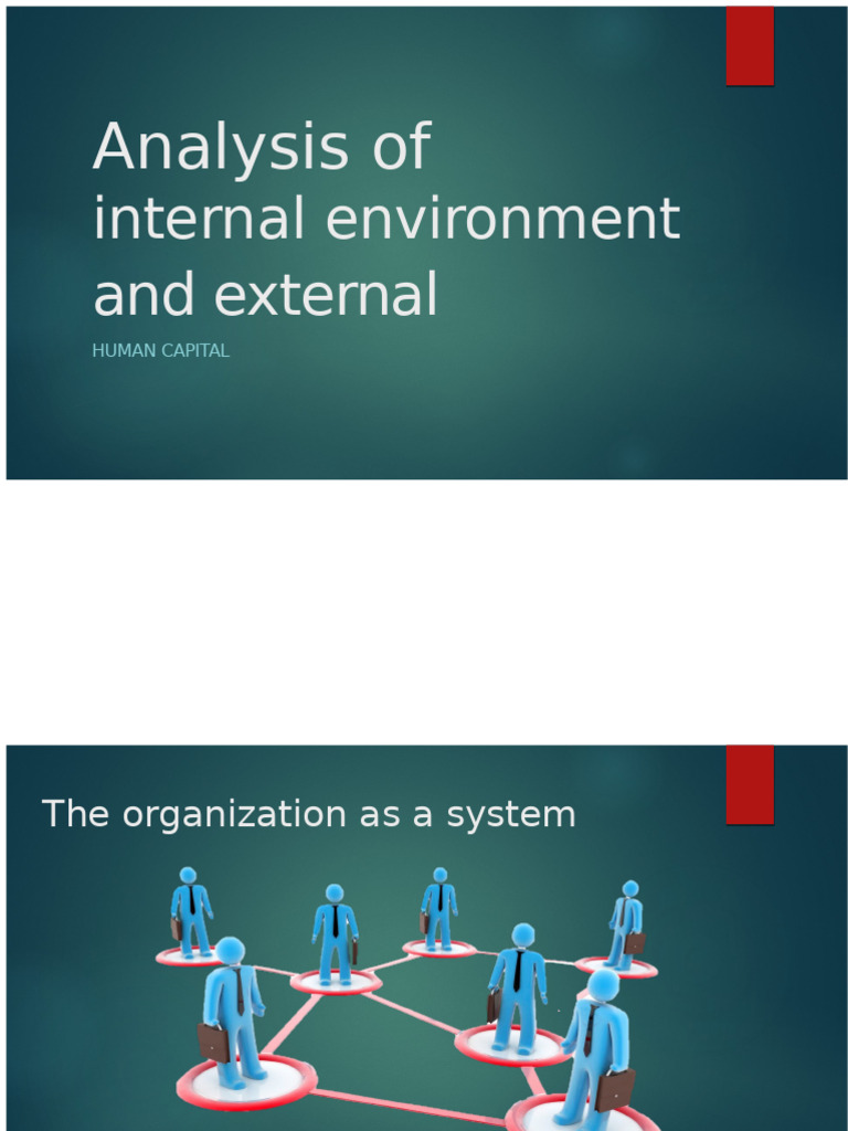 Analysis of The Internal and External Environment | PDF