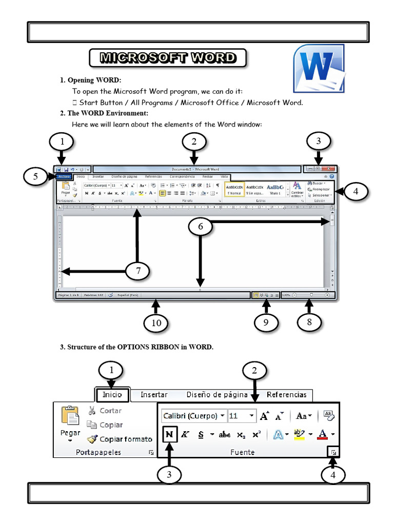 6 Primary - Microsoft Word | PDF