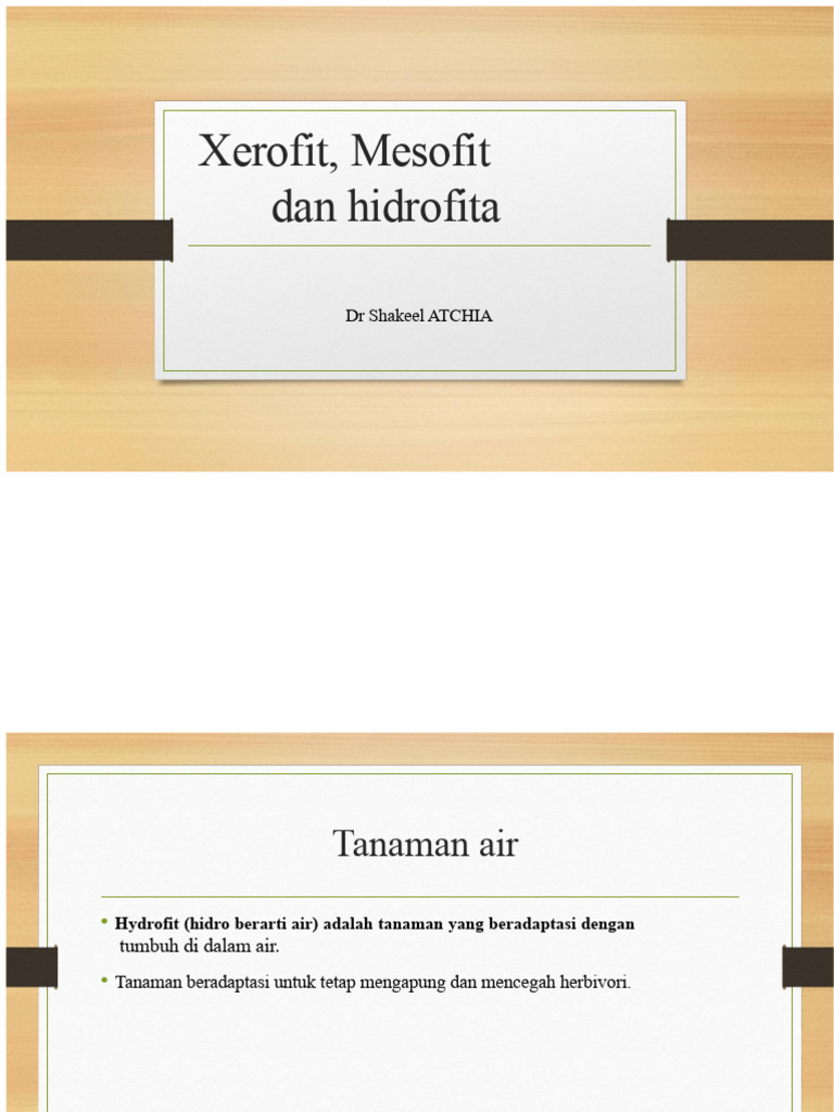 Xerofit, Mesofit, dan Hidrofit | PDF