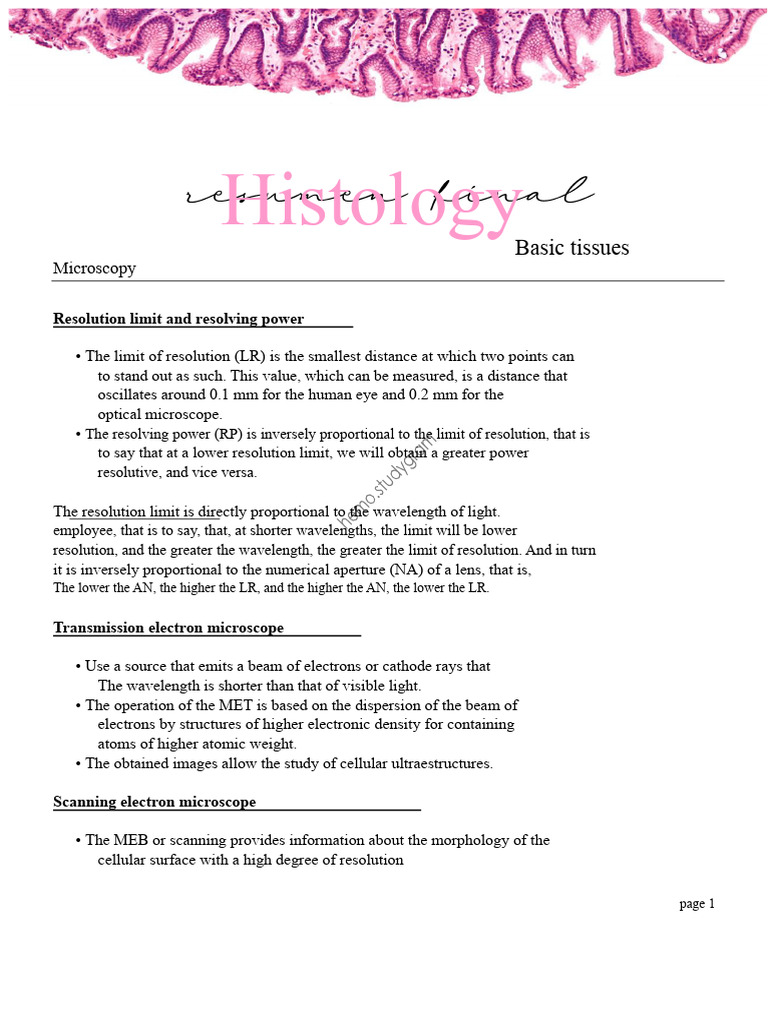 Histology summary | PDF | Epithelium | Axon