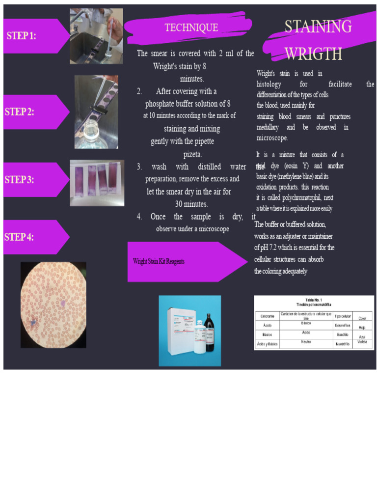 Wright's Staining Triptych | PDF | Staining | Histology
