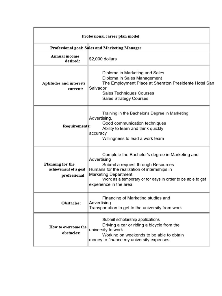 Professional Career Plan Model | PDF