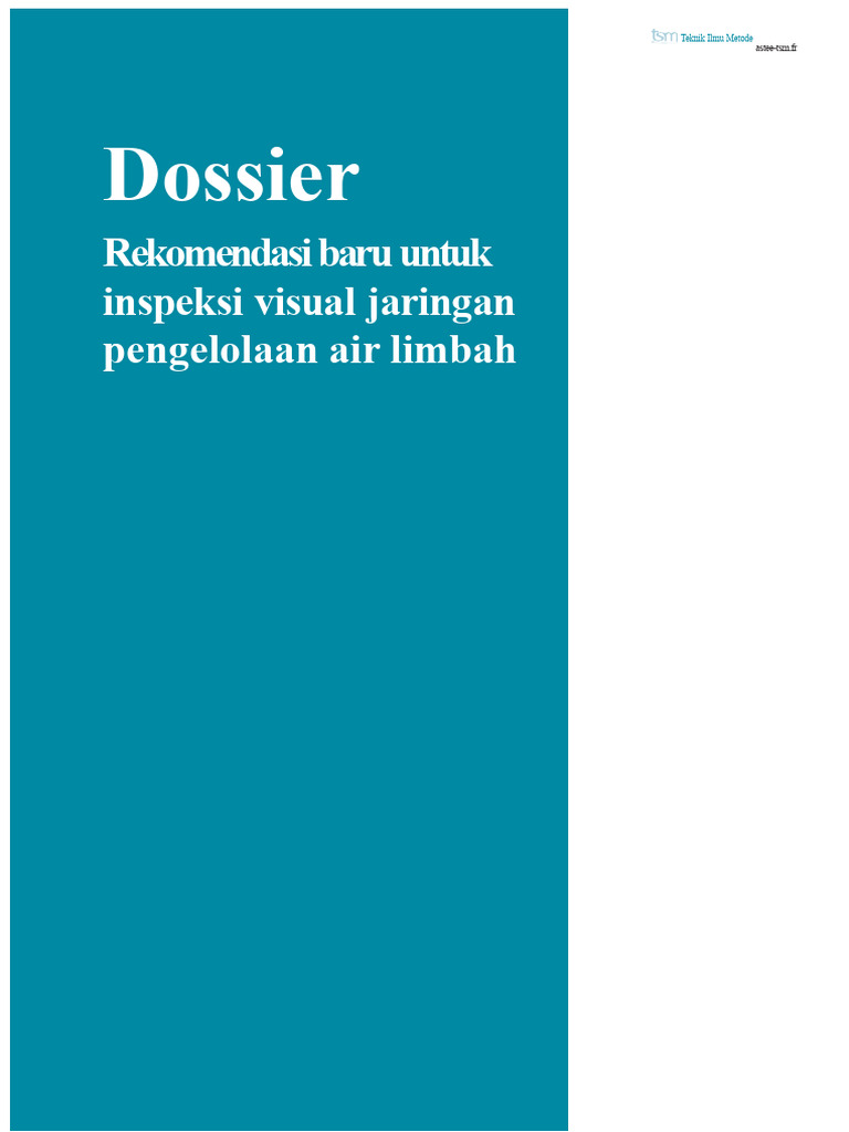 P - Rekomendasi Baru Untuk Inspeksi Visual Jaringan Sanitasi - P | PDF