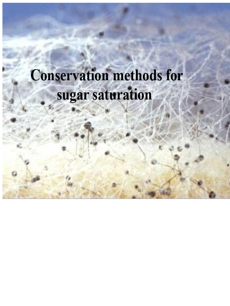 Sugar Preservation Techniques | PDF