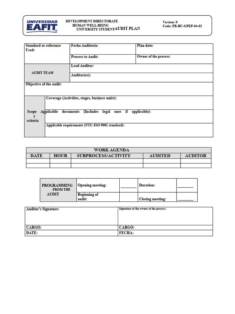 Audit Plan Format | PDF