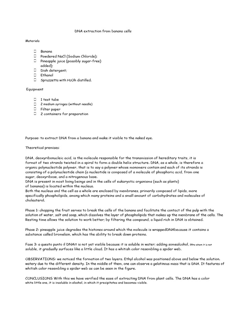 banana DNA extraction | PDF | Dna | Cell (Biology)