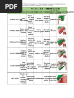 STOMPS Protocol for Shoulder Strengthening | PDF | Anatomical Terms Of ...