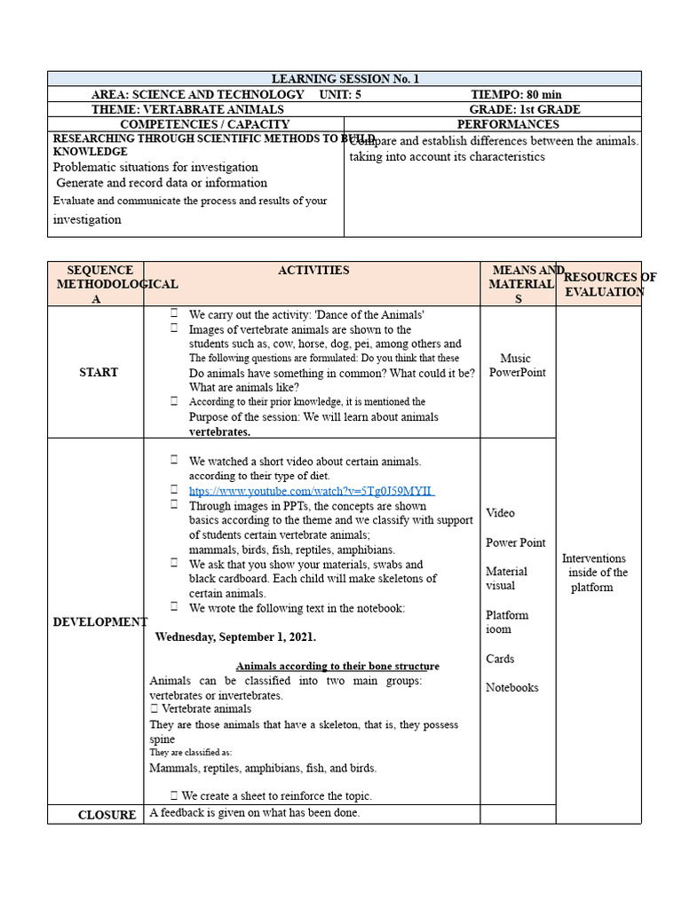 1st Grade Science: Vertebrate Animals | PDF | Vertebrates