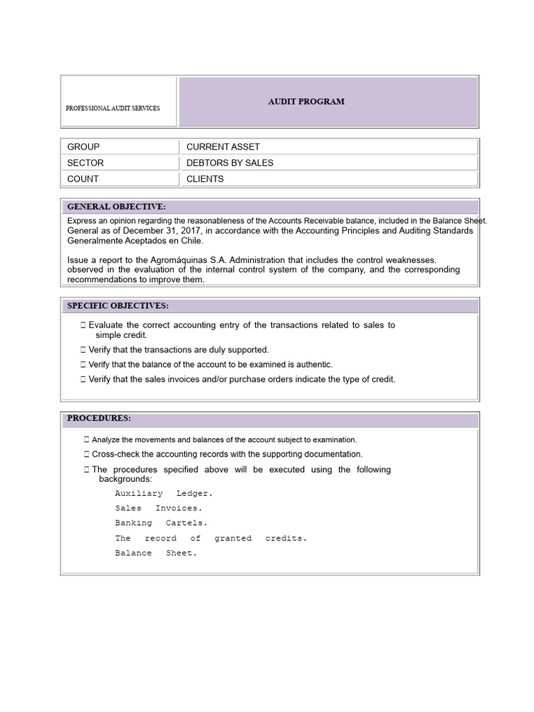 Example Audit Program | PDF