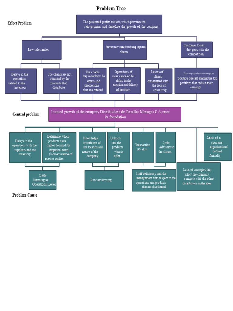 Problem Tree and Objectives | PDF | Inventory | Sales