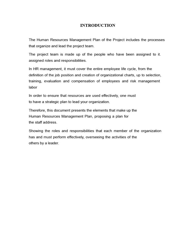 Human Resources Management Plan | PDF | Human Resource Management | Computer Programming