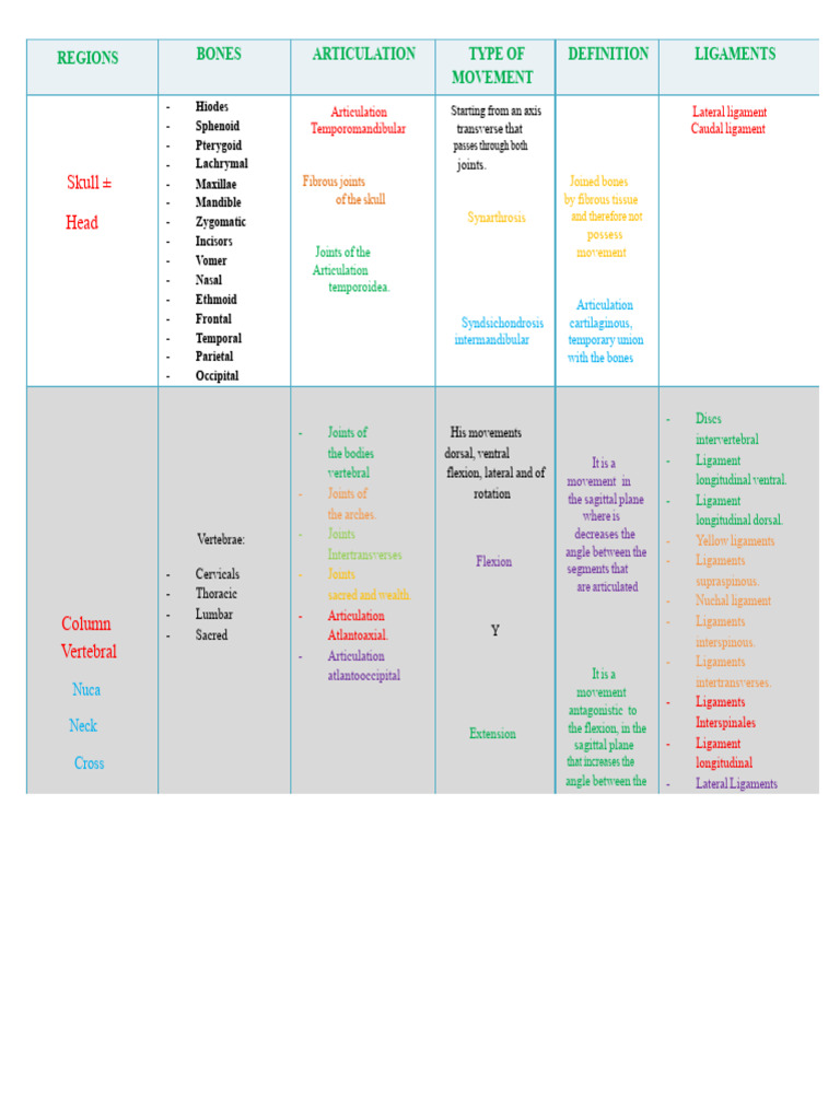 Cattle Joints and Ligaments | PDF | Vertebra | Anatomical Terms Of Motion