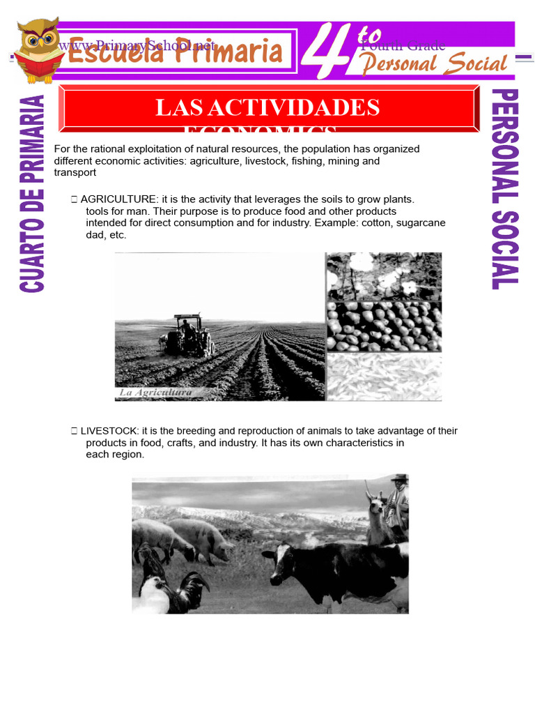 Fourth Grade Economics Activities Guide | PDF