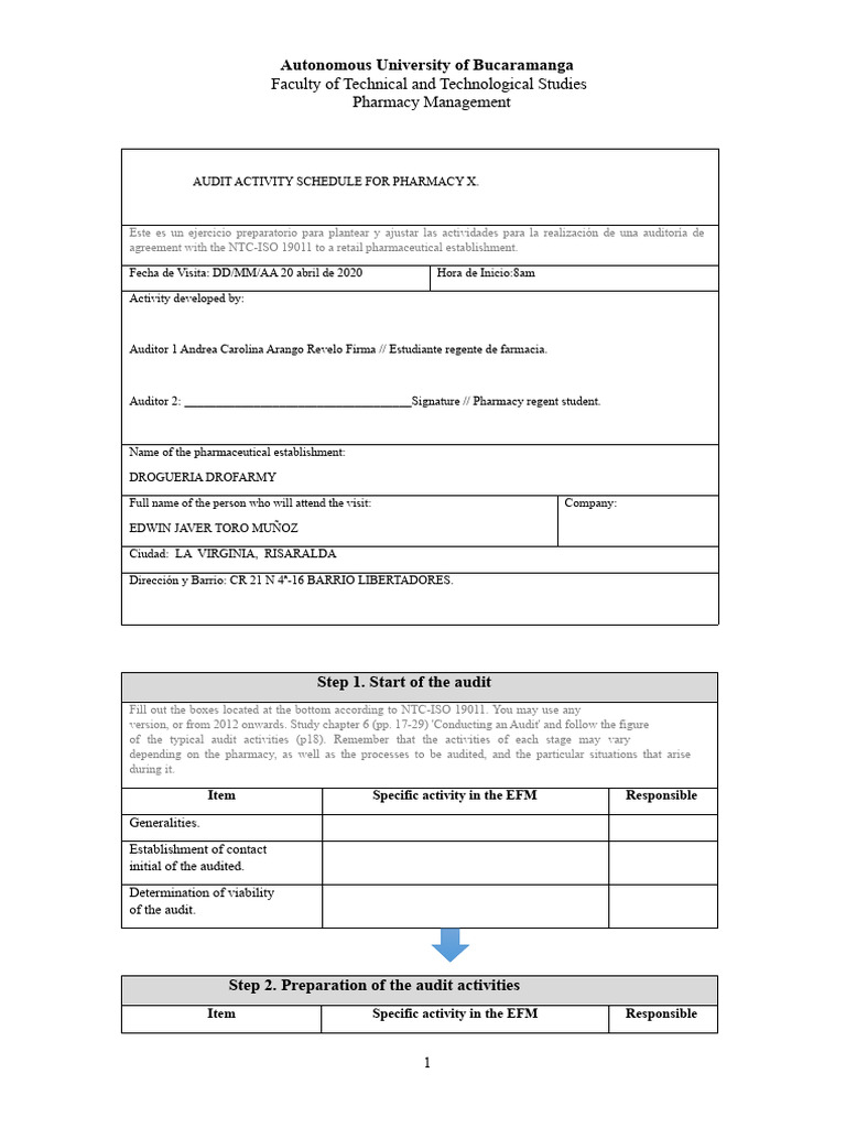Audit Execution Format | PDF | Pharmacology | Pharmaceutical Sciences