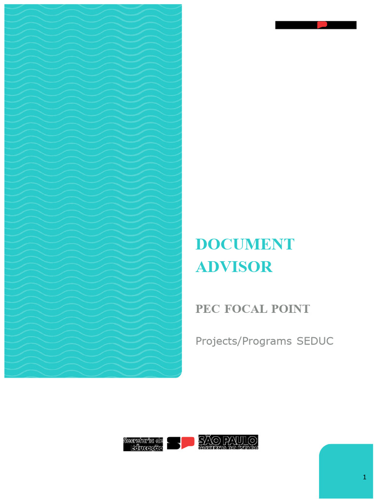 Guidance Document - PEC Focal Point - 2024 | PDF | Teachers | Literacy