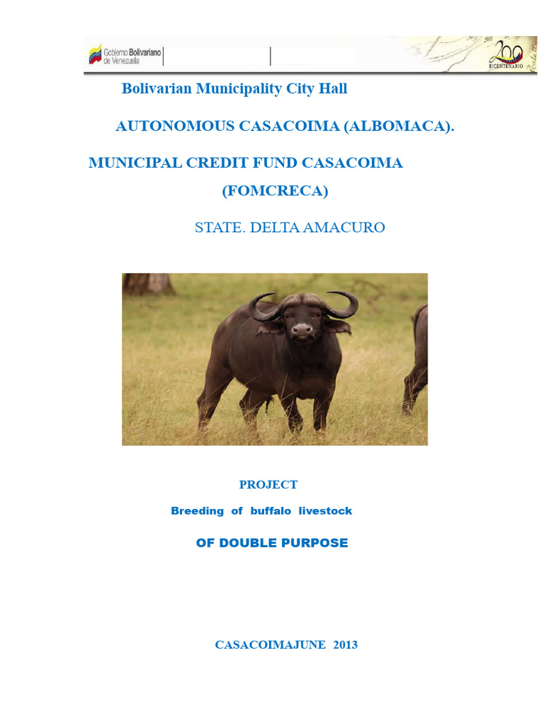 Breeding of Dual-Purpose Buffalo Cattle | PDF | American Bison | Cheese