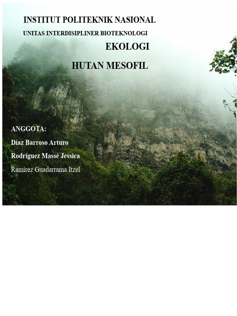 Hutan Mesofil 2 | PDF